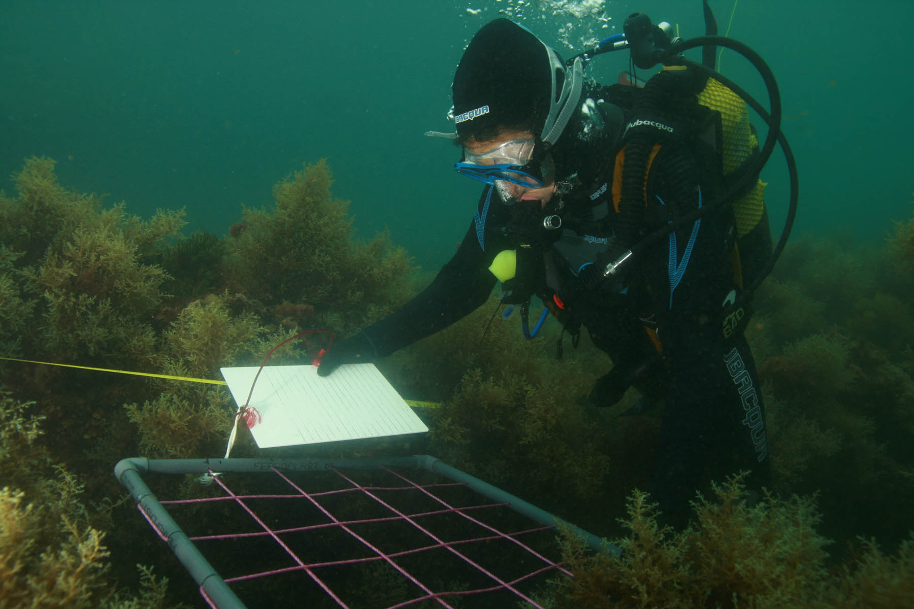 CDA BILBAO |Arqueología y Patrimonio Submarino